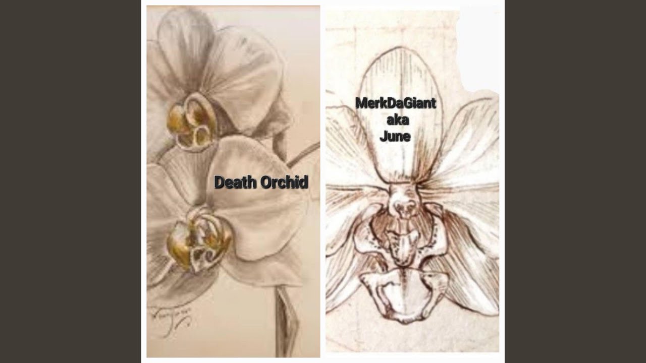 Death Orchid - YouTube