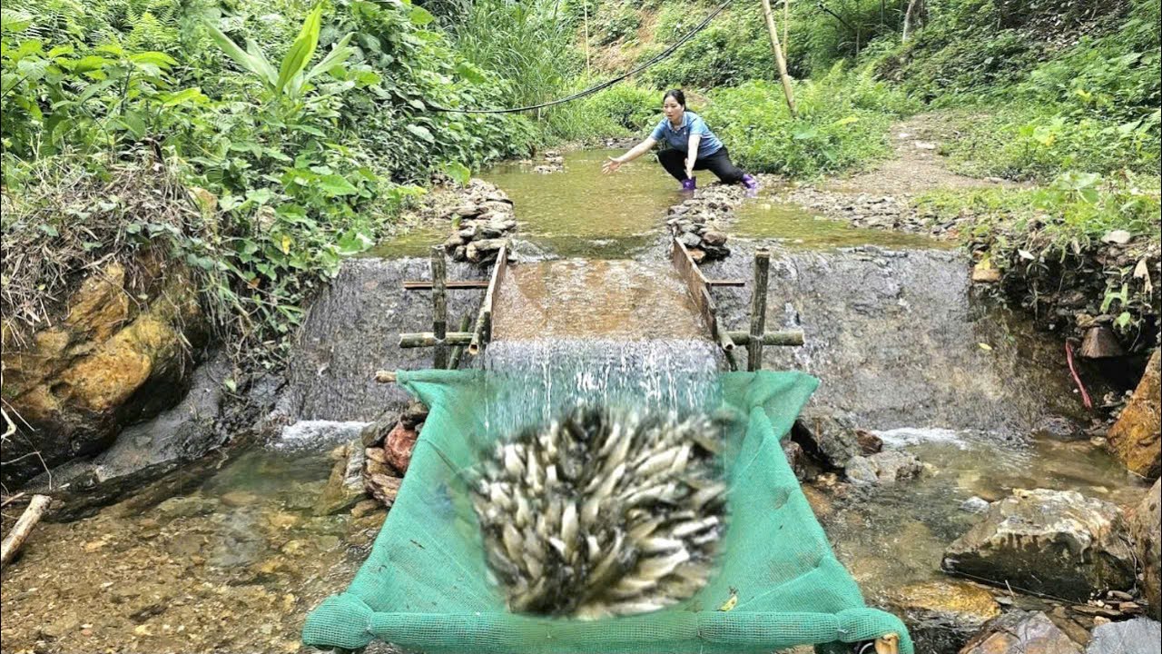 Stone trap fishing challenge/ unexpected results. - YouTube