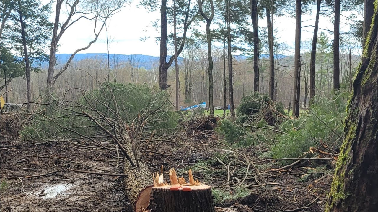 New Hampshire Logging: Week 1 - YouTube