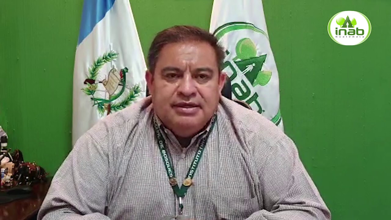 INAB certificó más de 13 mil proyectos en los primeros 100 dias de ...