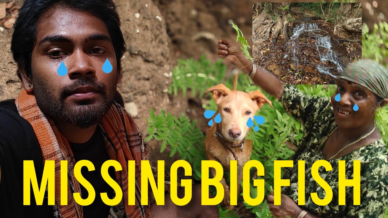 Missing big fish in my fust video 😭😭 #missing #big #fish - YouTube