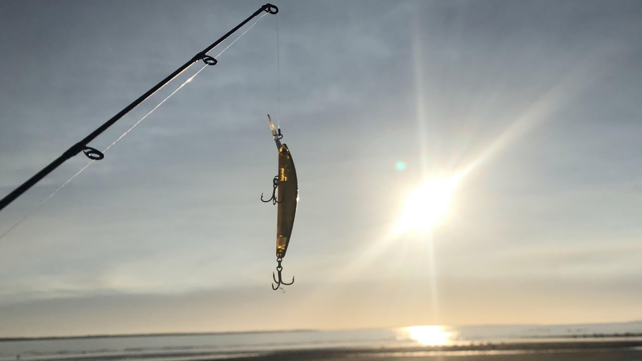 SAND FLATS fishing for FLATHEAD | back to basics! - YouTube