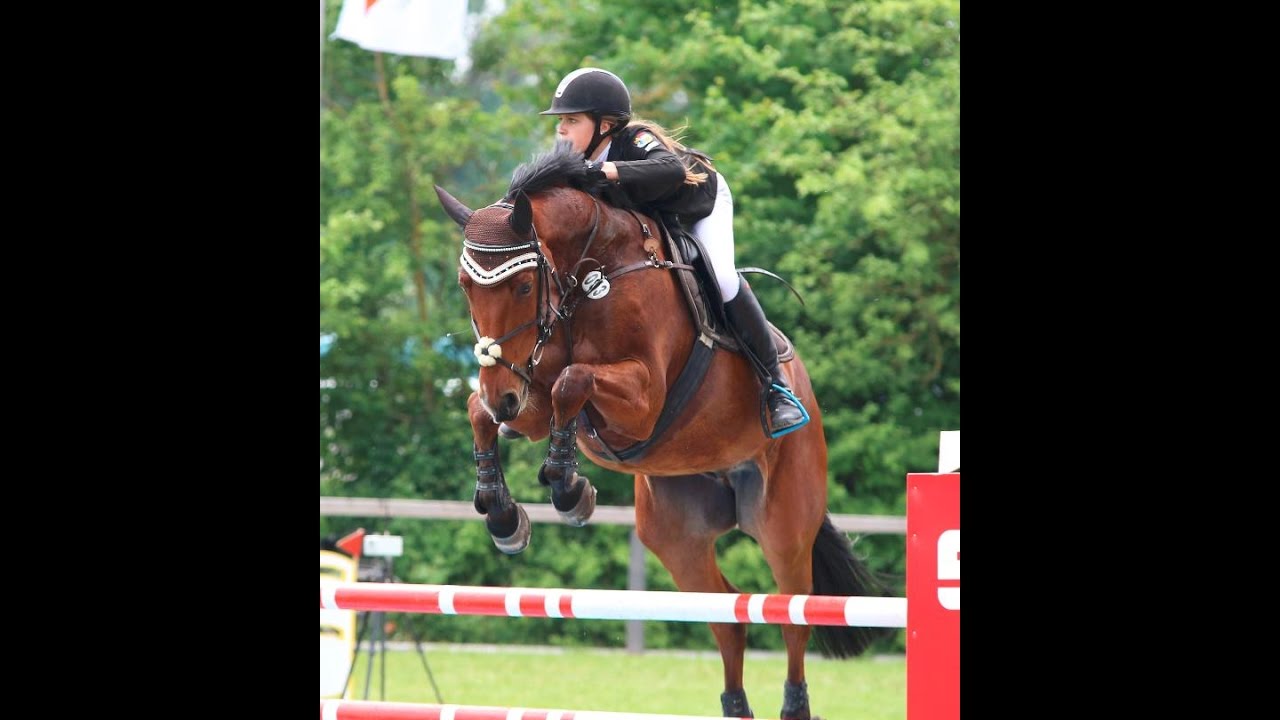 Springpferdeprüfung Kl. L Calvaro-Blue - YouTube