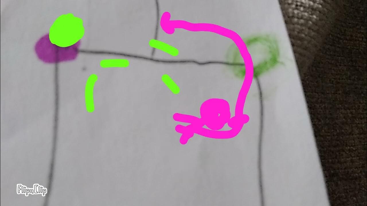 Purple Vs Green Youtube