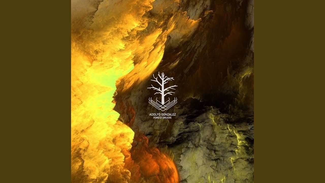 Forest Gruuve - YouTube