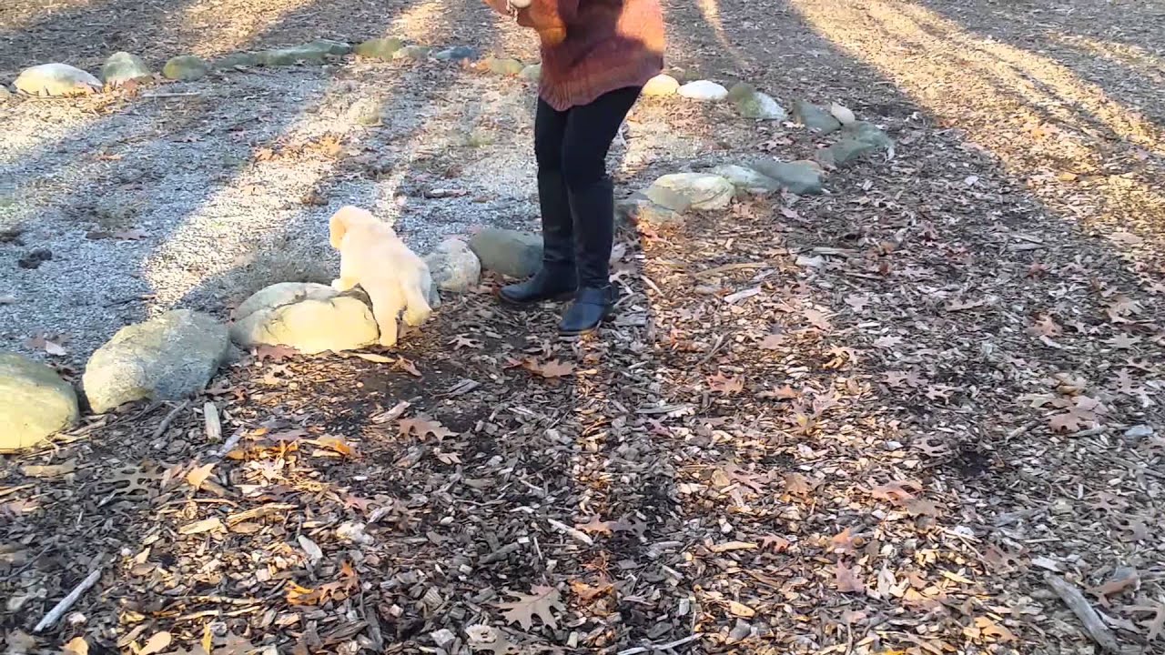 1st pee pee - YouTube