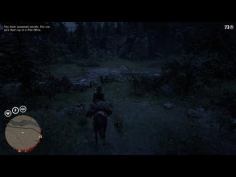 RDR2 Online...Strangers Mission for Shaky and perfect Grizzly kill ...