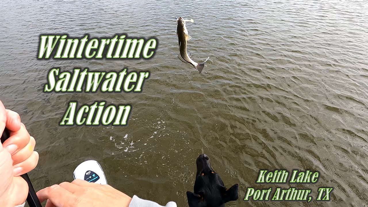 Speckled trout action from Keith Lake - YouTube