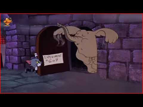 Cartoons For Kids   Tom and Jerry Episode 115   Switchin' Kitten Part 3
