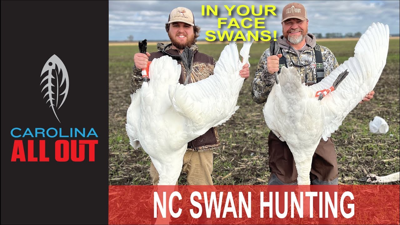 Swan Hunting! Back again! | Carolina ALL OUT S6/Ep8 - YouTube