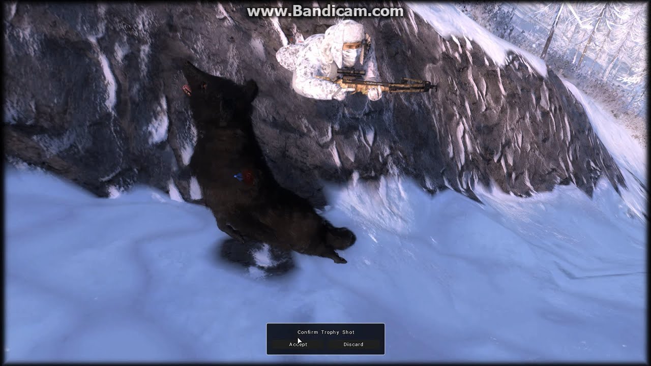 THE HUNTER: DD33's Calling All Rare Arctic Fox 3 Rare Fox 11.8 Score ...