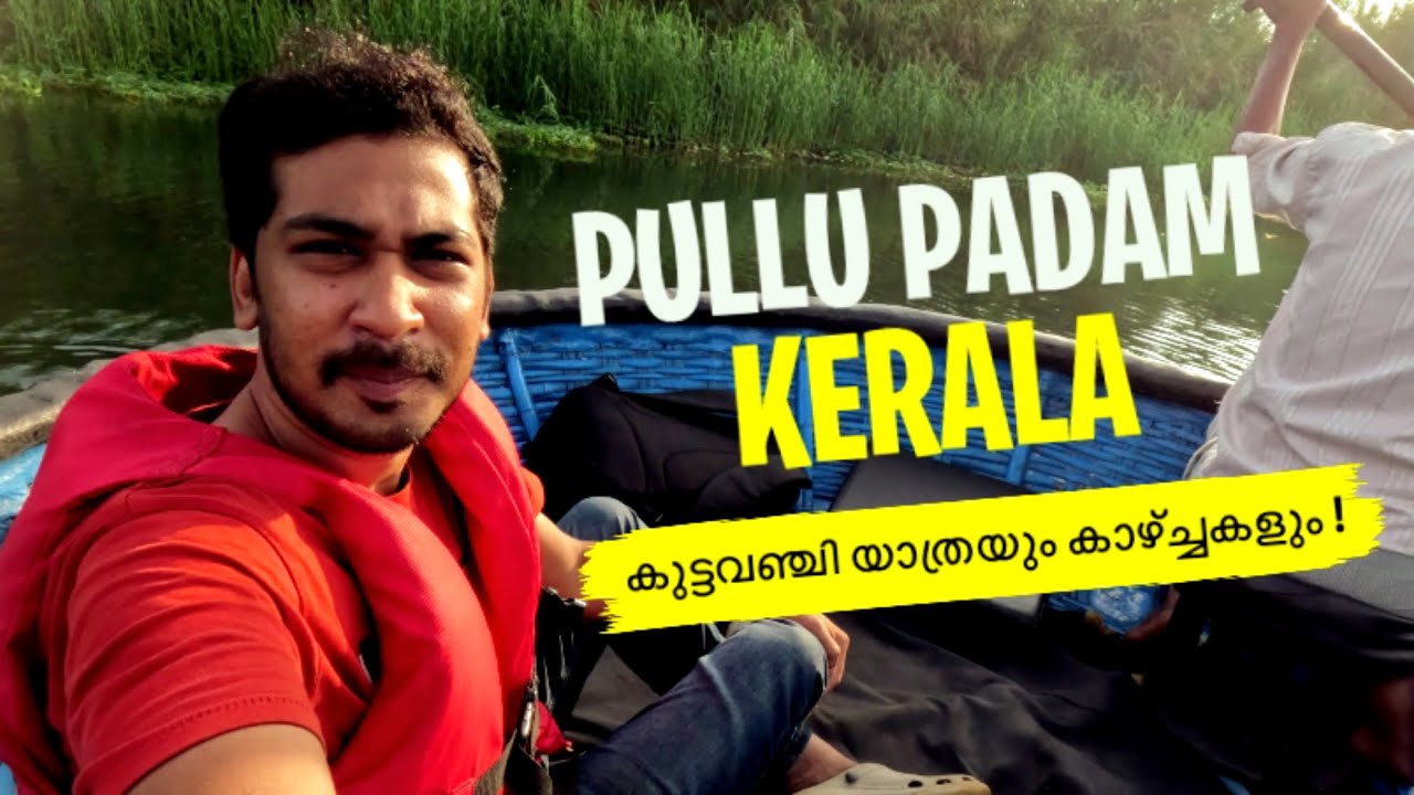 Pullu Padam | Traditional Boat Ride Through Kerala’s Scenic Paddy ...
