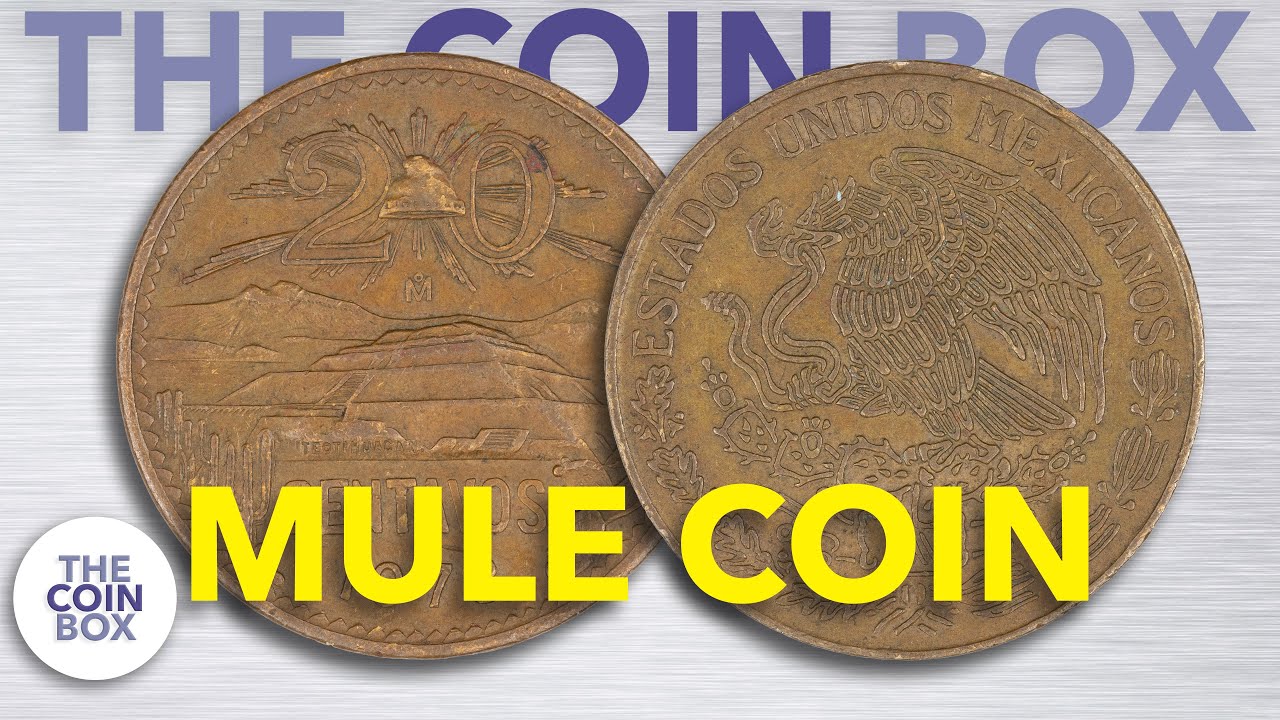 Do you own a mule coin? The 1973 Mule Coin from Mexico! - Price & Info ...