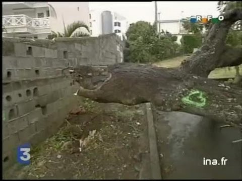 Cyclone Dina à la Réunion - YouTube