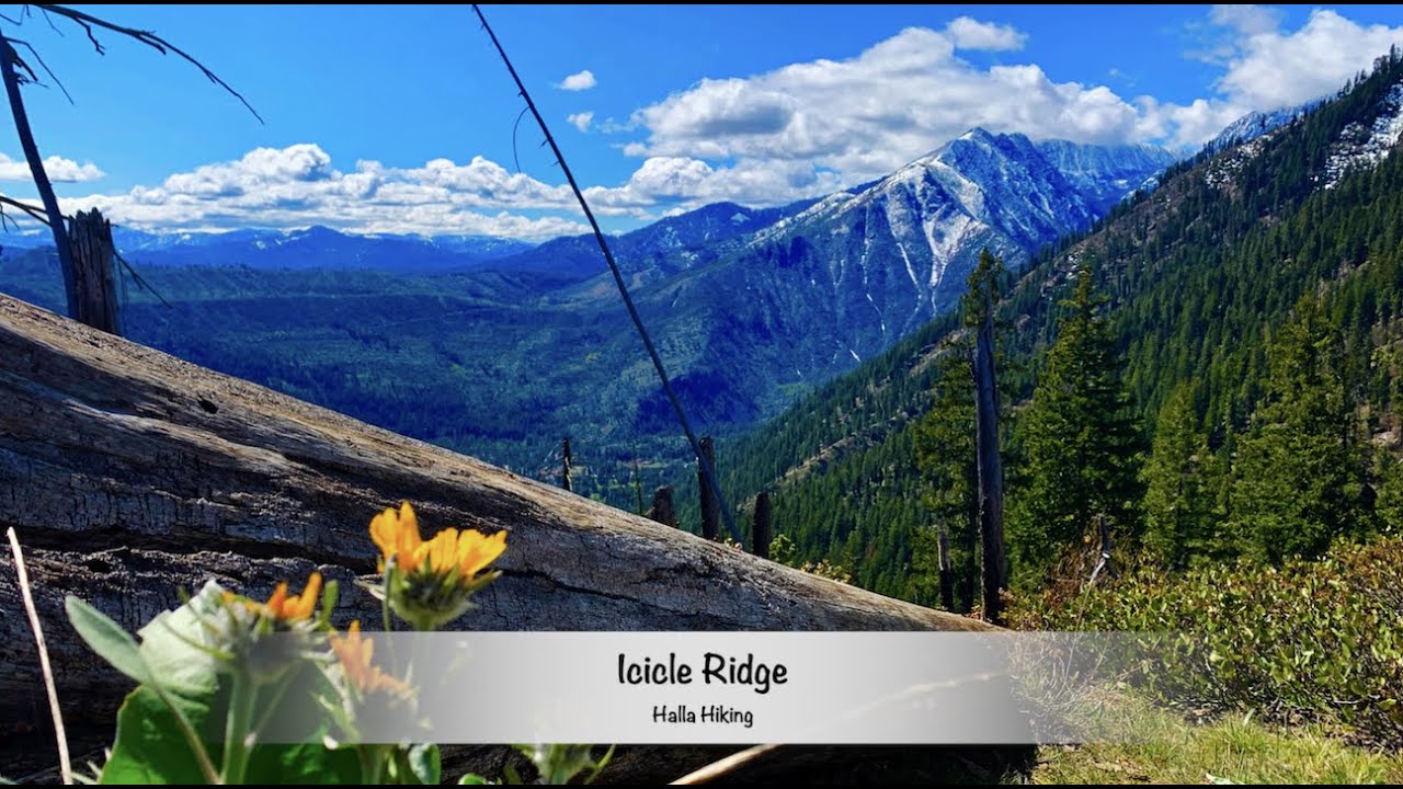 Hiking Icicle Ridge Trail, WA Highway 2 near Leavenworth - YouTube