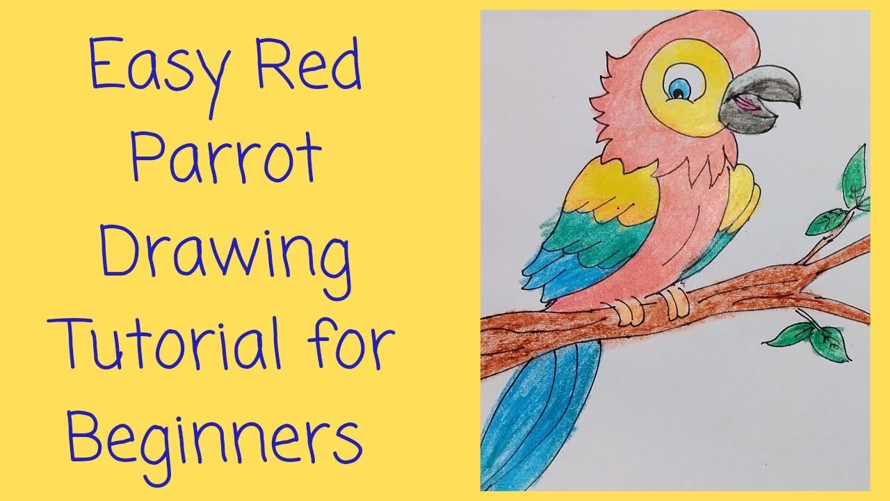 Easy Red Parrot Drawing Tutorial for Beginners with information # ...