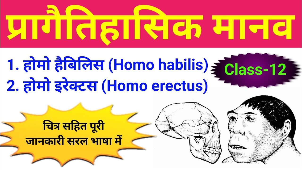 प्रागैतिहासिक मानव (Prehistoric Man) | human evolution class 12 | manav ...