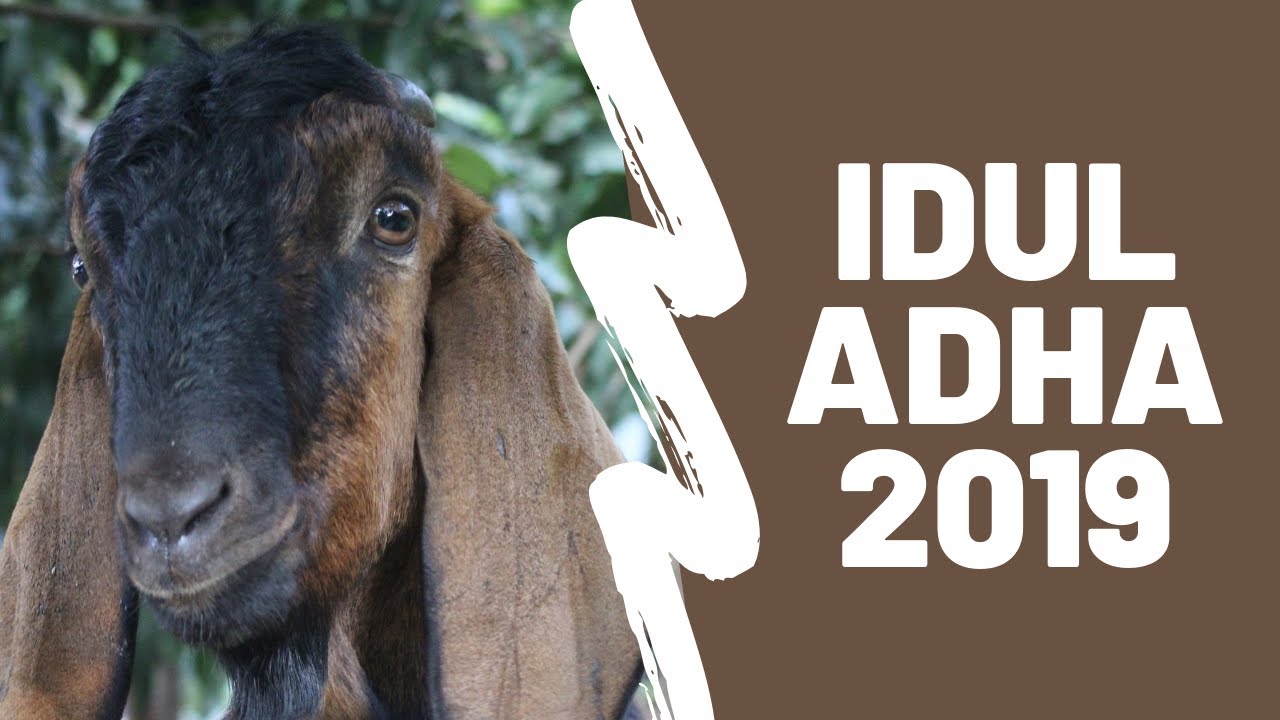 IDUL ADHA 2019 I SMPN 21 TANGSEL - YouTube