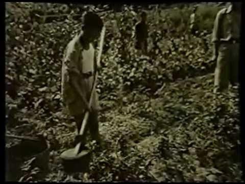 Letter from China - American Board Mission of Foochow 1947 - YouTube