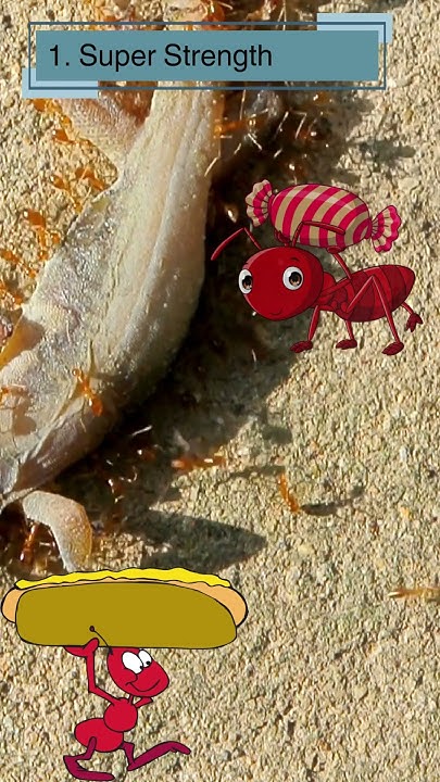 10 Fascinating ant Facts for Kids | Fun and Educational Discover the ...