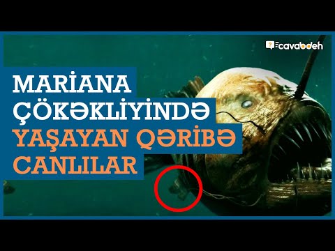 Okeanın Ən DƏRİN NÖQTƏSİ Mariananın Sirri Nədir? | Mariana Çökəkliyi