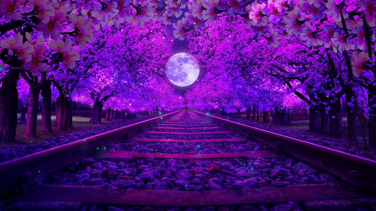 Magical Night 💜 Fall Asleep In Under 5 Minutes 🎵 Soothing Sleep Healing ...