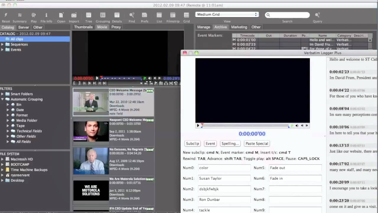 Cat DV Demo - YouTube