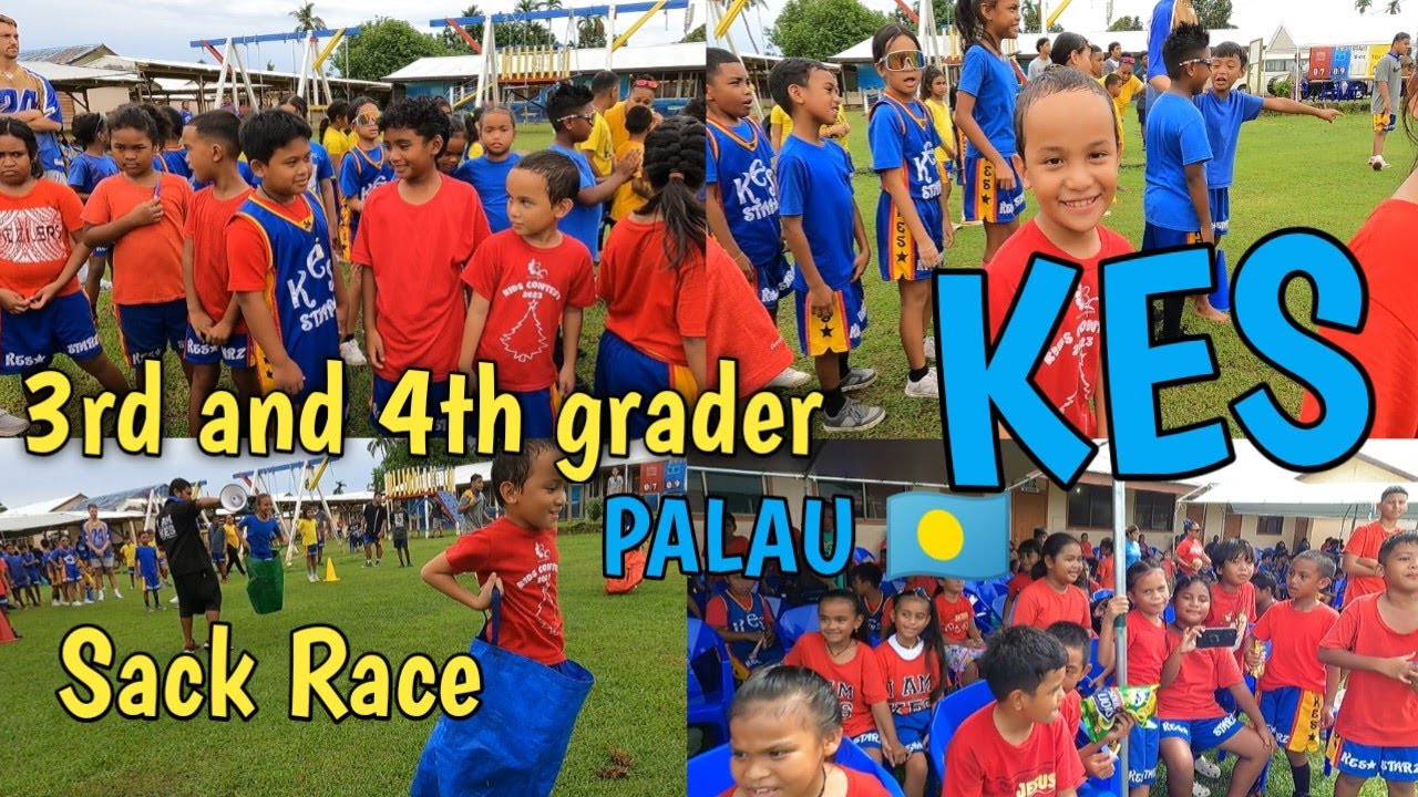 Palau Schools Visit The Palau | Visits And Tickets | Palau De La