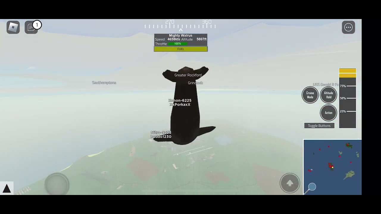 Flying Walrus? - YouTube