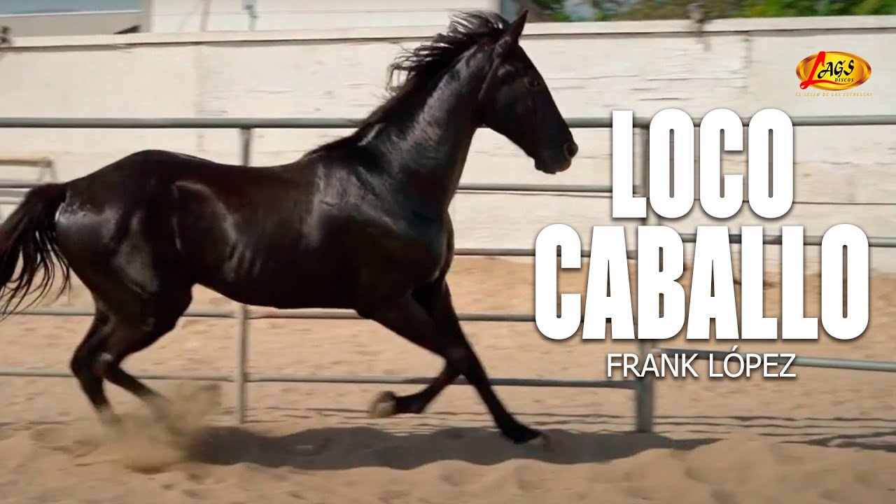 Frank López - Caballo Loco (Audio Oficial) - YouTube
