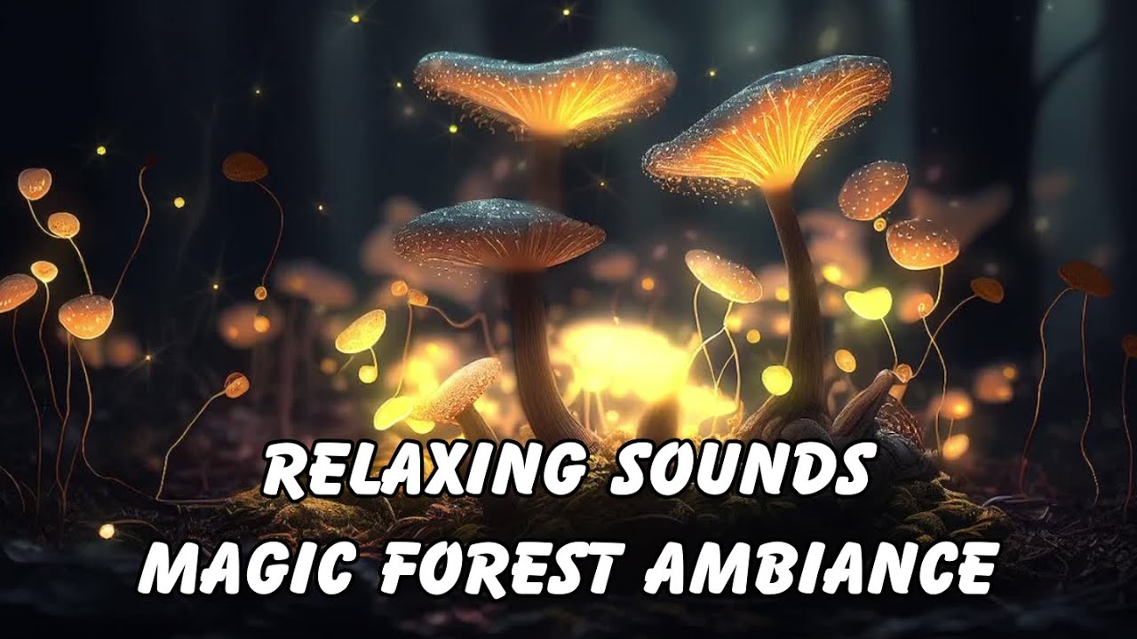 Magic Forest Sounds - Relax And Escape Reality In A Magic Forest ...