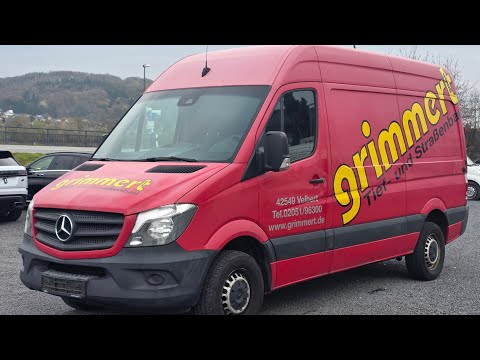 Pkw inserieren - Mercedes-Benz Sprinter II Kasten 313 CDI L3H2 WDB9066331P227349