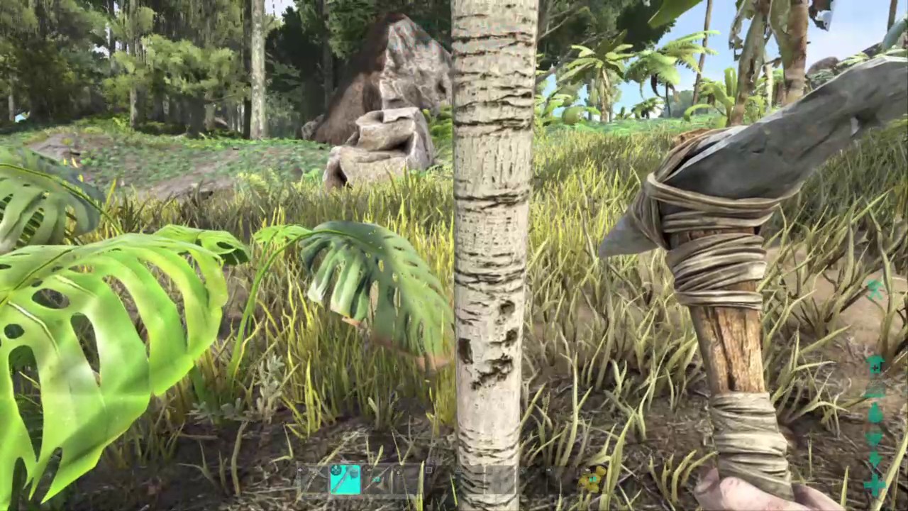 What to do when you spawn for the 1st time Ark survival evolved - YouTube