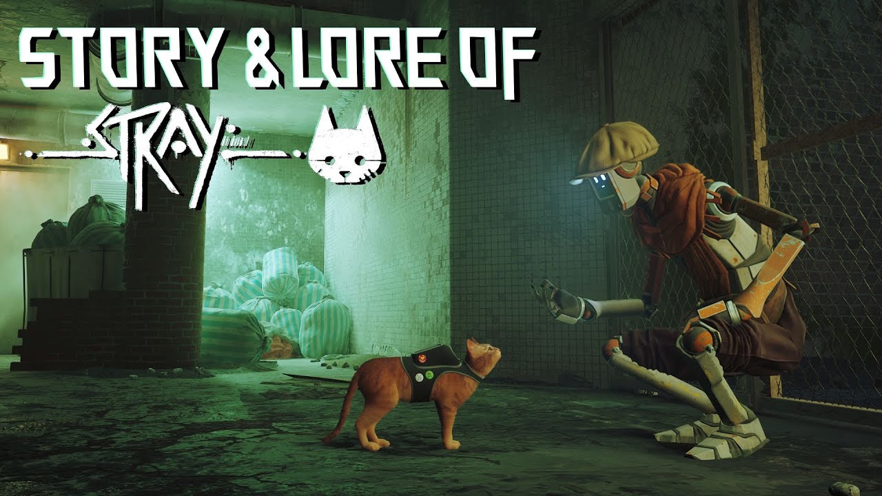 The Complete Story and Lore of Stray 2022 - YouTube