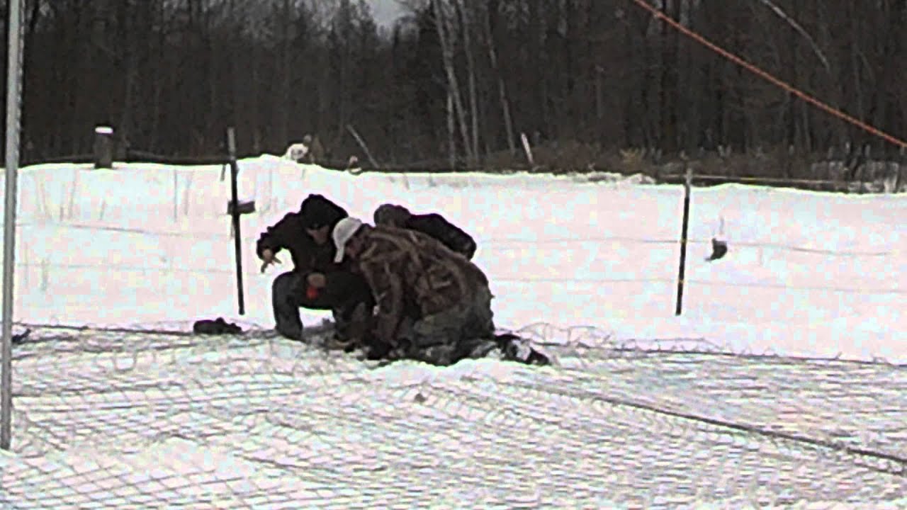 deer netting Wisconsin DNR - YouTube