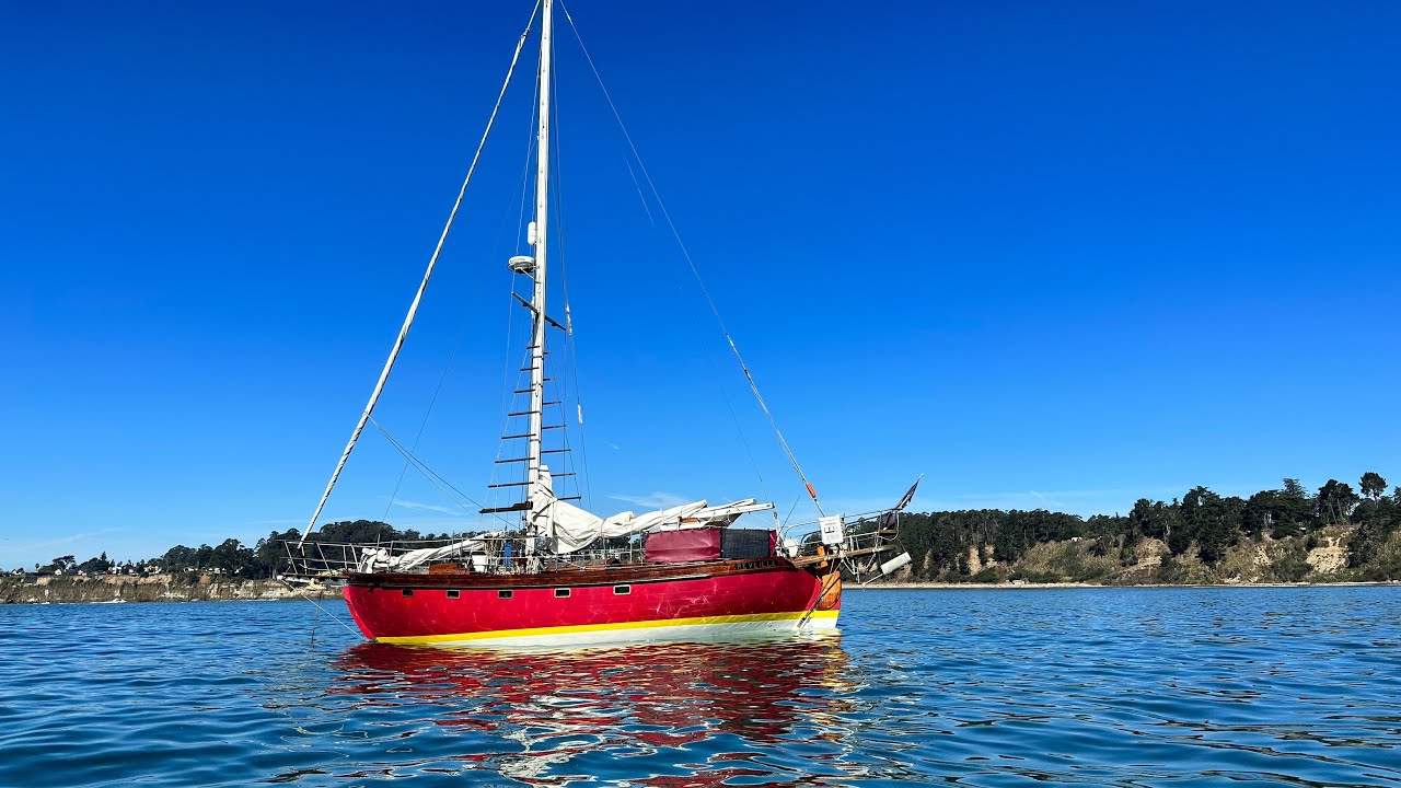 "Sail & Scuba Serenity: Exploring the Depths with Sailboat Reveille ...