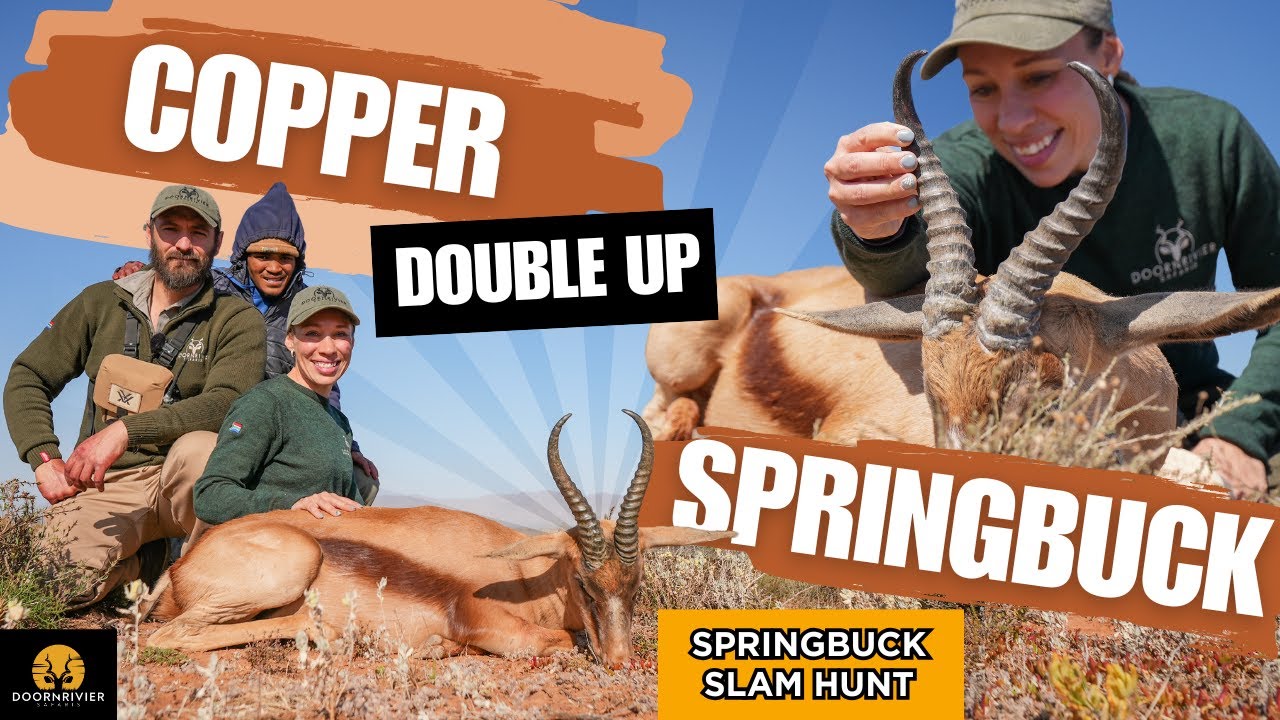Going 2 for 2 on a Copper Springbuck Hunt - with Doornrivier Safaris in ...