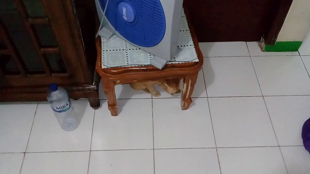 Under the table - YouTube