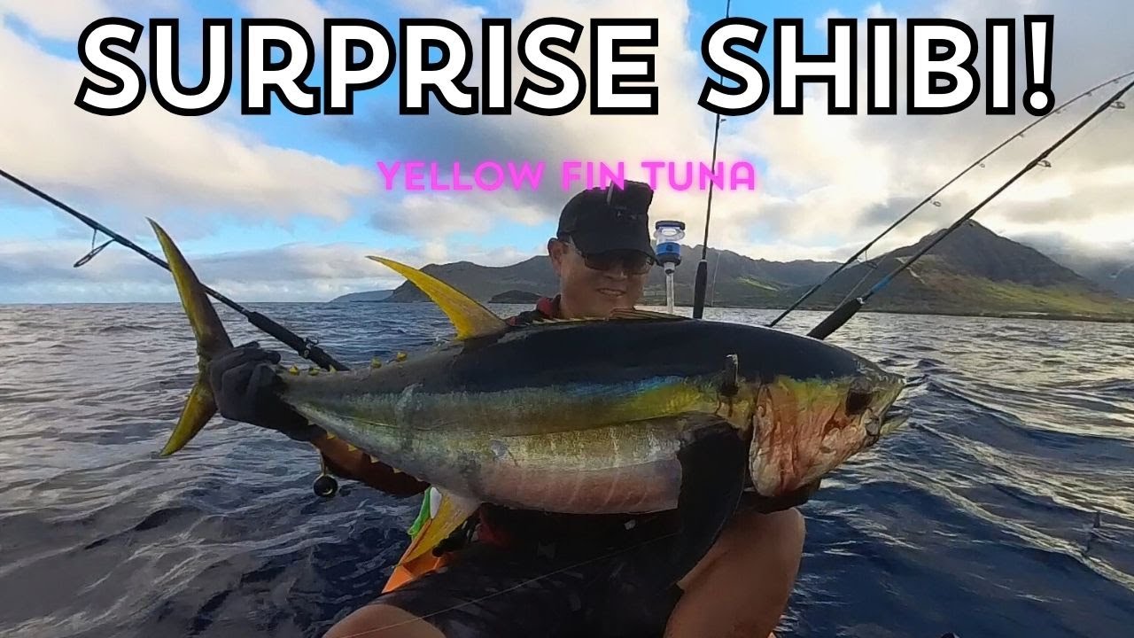 Surprise Shibi on Unexpected Rig | Pearl Harbor Tourney Boat Traffic ...