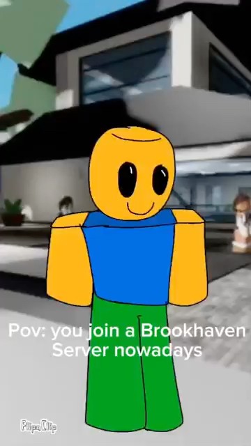 POV: Brookhaven severs nowadays #animation #real #roblox - YouTube