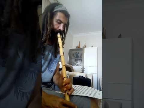 Naz ü niyaz / acemler \\ played with ney (turkish flute)