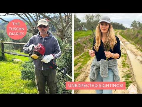 WE PUT WILDLIFE CAMERAS IN THE WOODS...AND GOT SOME SURPRISES