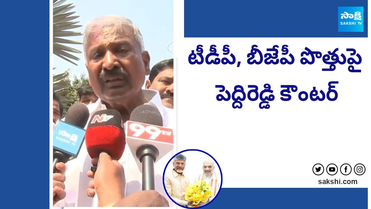 Minister Peddireddy Rama Chandra Reddy Strong Counter To Chandrababu ...