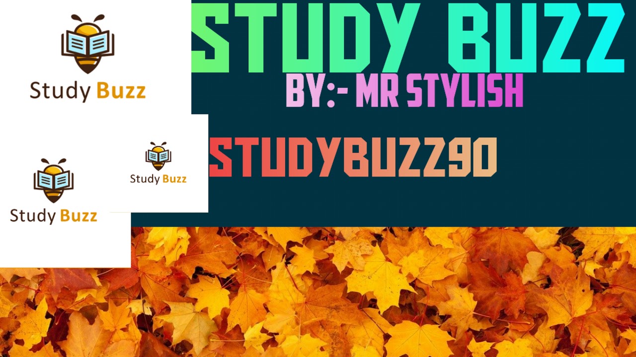 Study Buzz Live Stream - YouTube