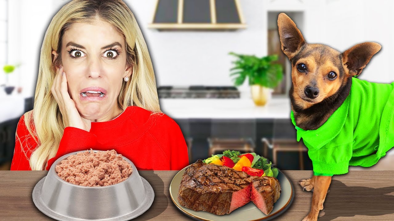 Dog Food Vs. Real Food Challenge! | Pawzam Dogs - YouTube
