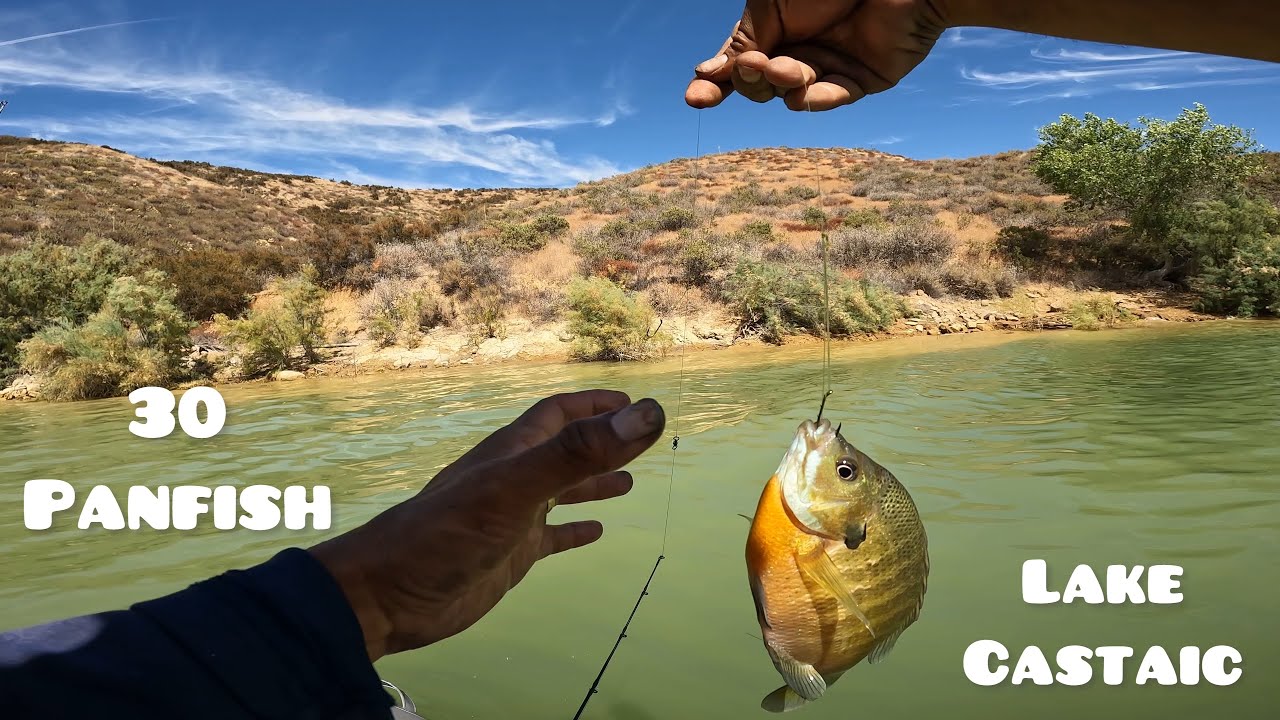 Lake castaic 30+ fish - YouTube
