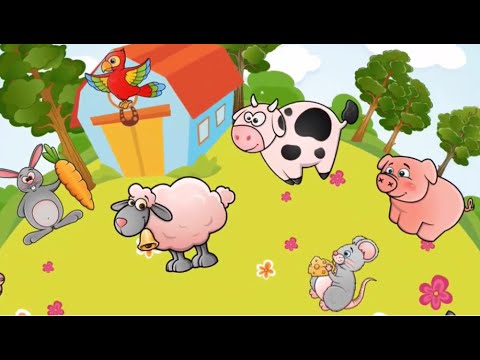 Baby Learn About Farm Animals - Real Video Of The Animals - Animal ...