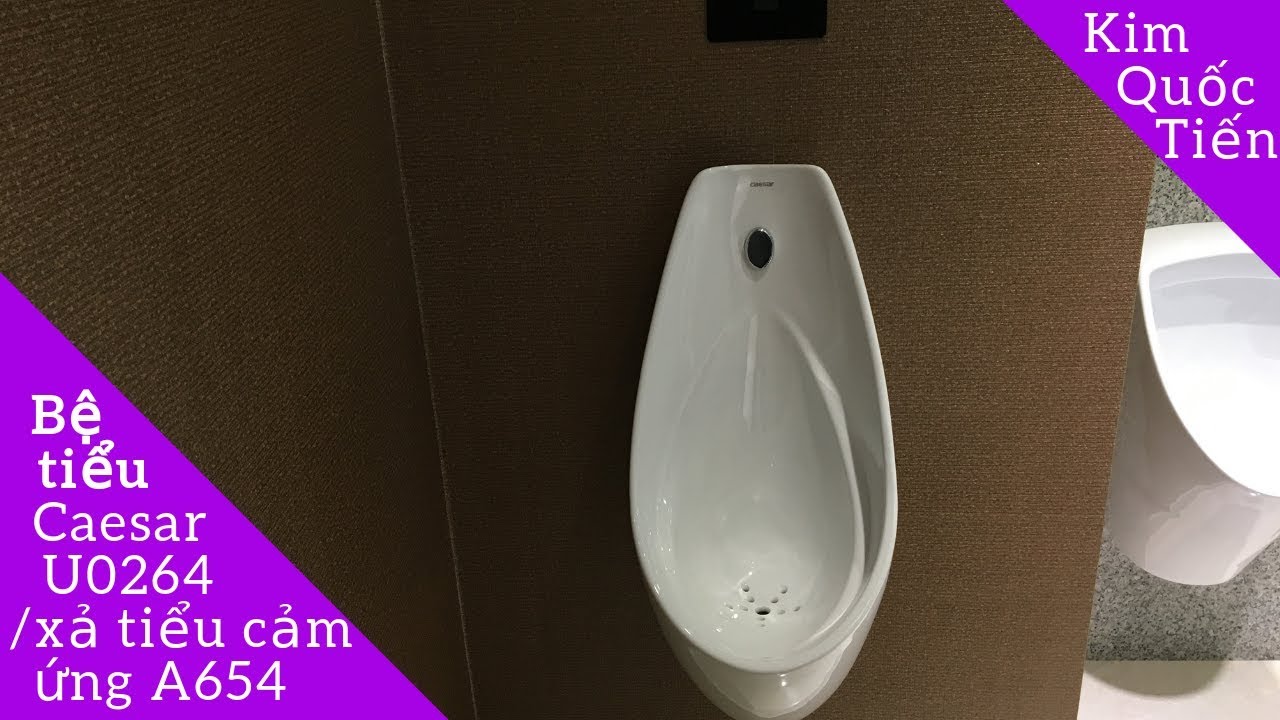 Bệ tiểu Caesar U0264 /xả tiểu cảm ứng Caesar A654 - YouTube