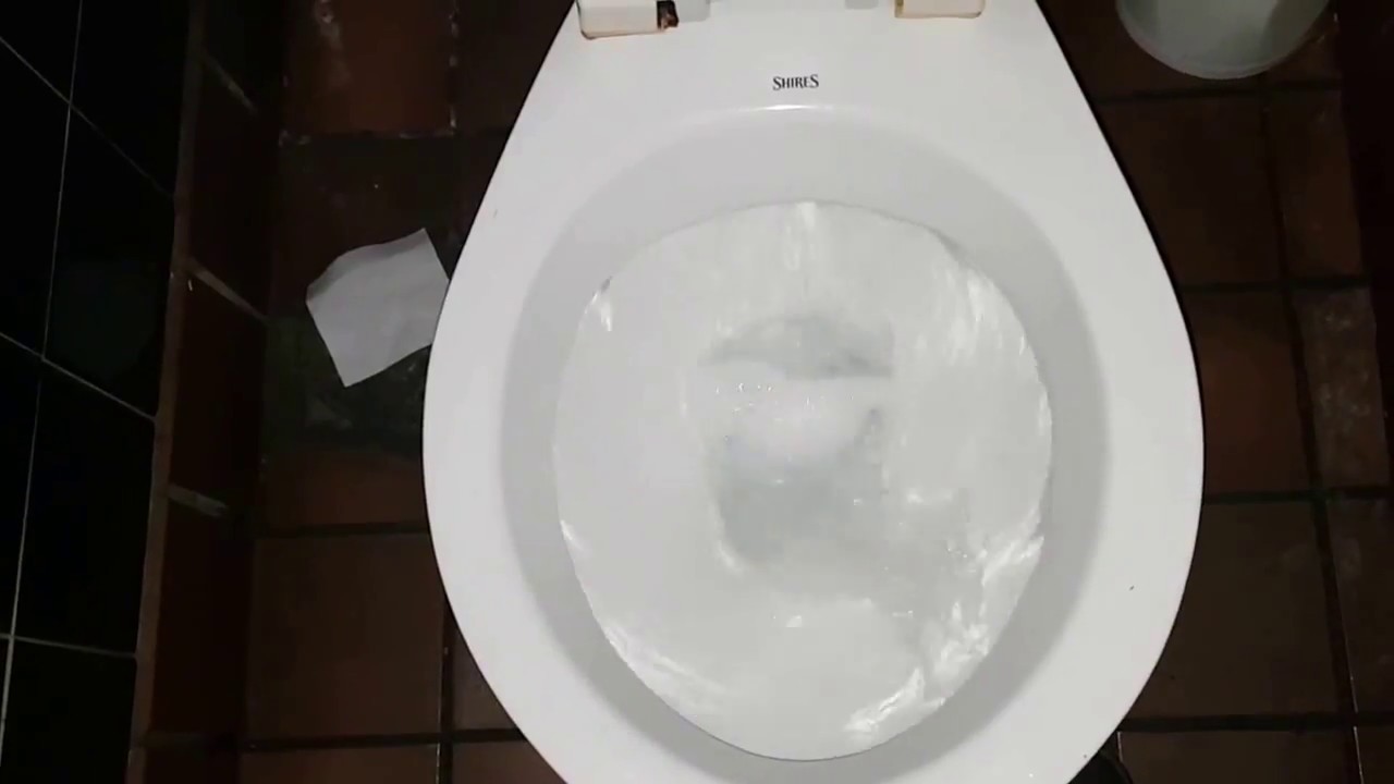 LL Shires Supaline, PH, Leicester (24) - YouTube