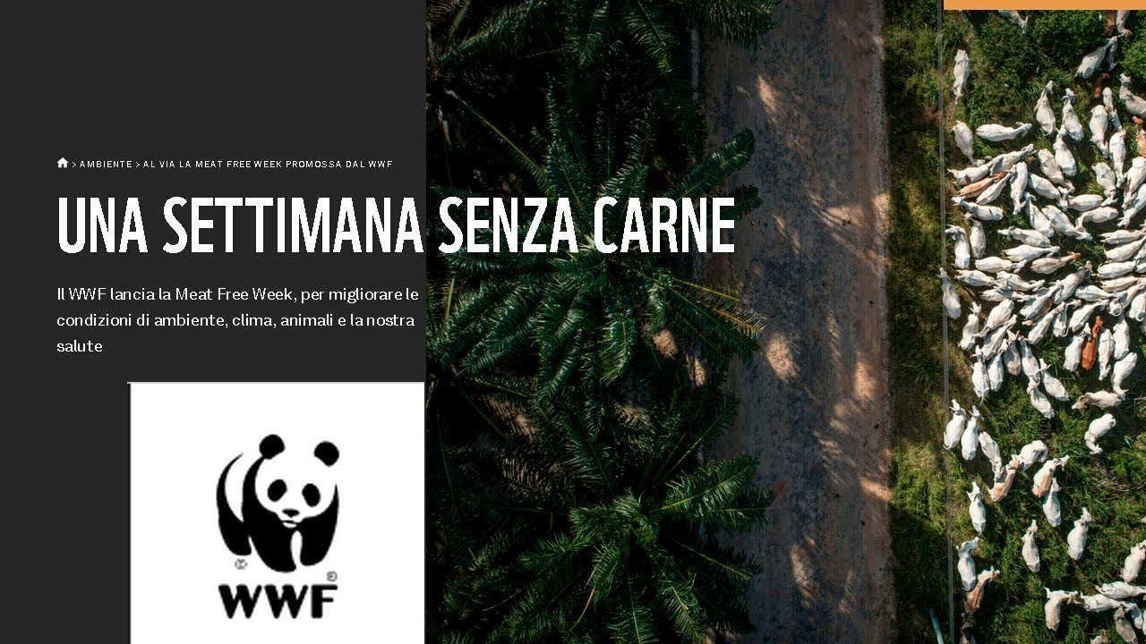 Meat Free Week: La settimana LIBERA DA CARNE del WWF - YouTube